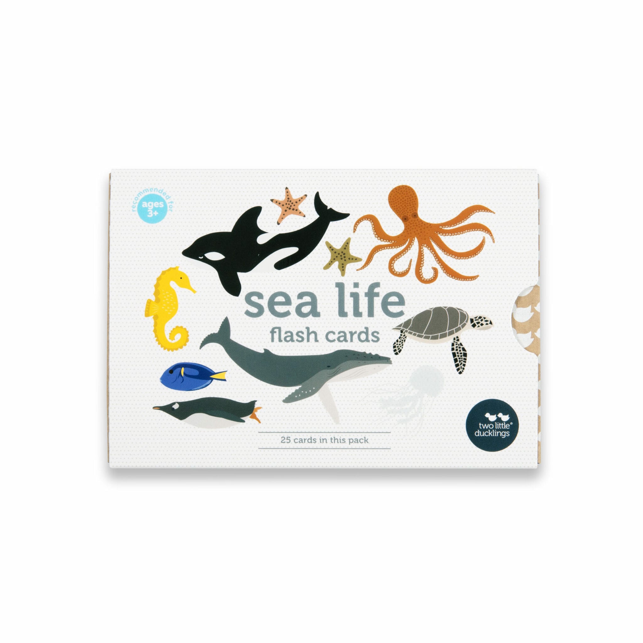 Two Little Ducklings Sea Life Flash Card Set - Milka